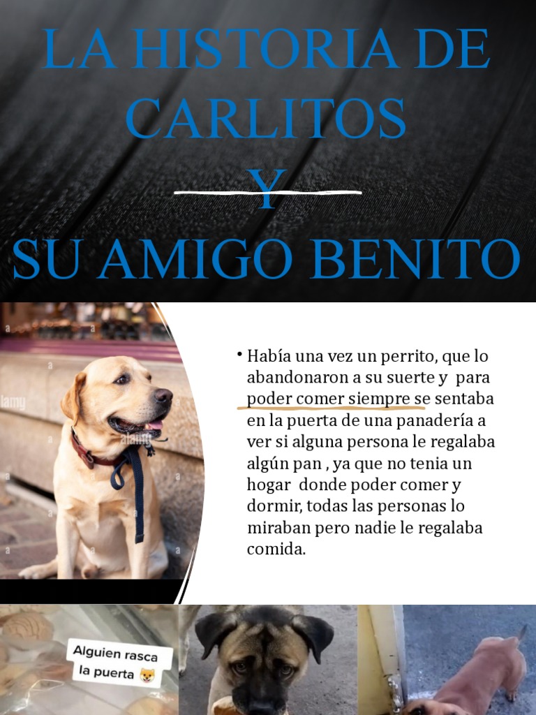 La Historia de Carlitos | PDF