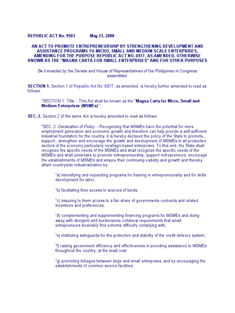 Strengthening Support for Micro, Small, and Medium Enterprises: An ...