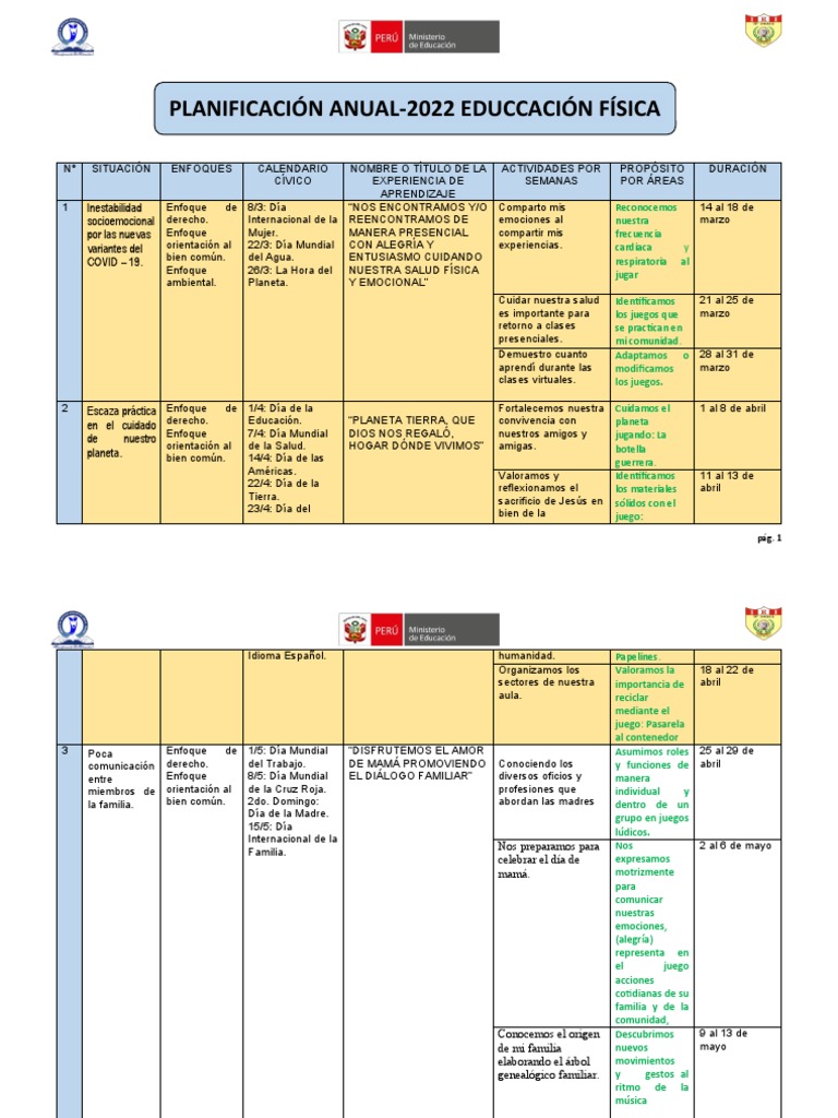 Planificación Anual Educación Física | PDF