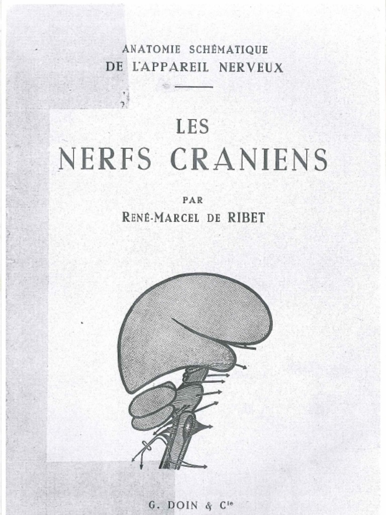 De Ribet René-Marcel Les Nerfs Crâniens | PDF