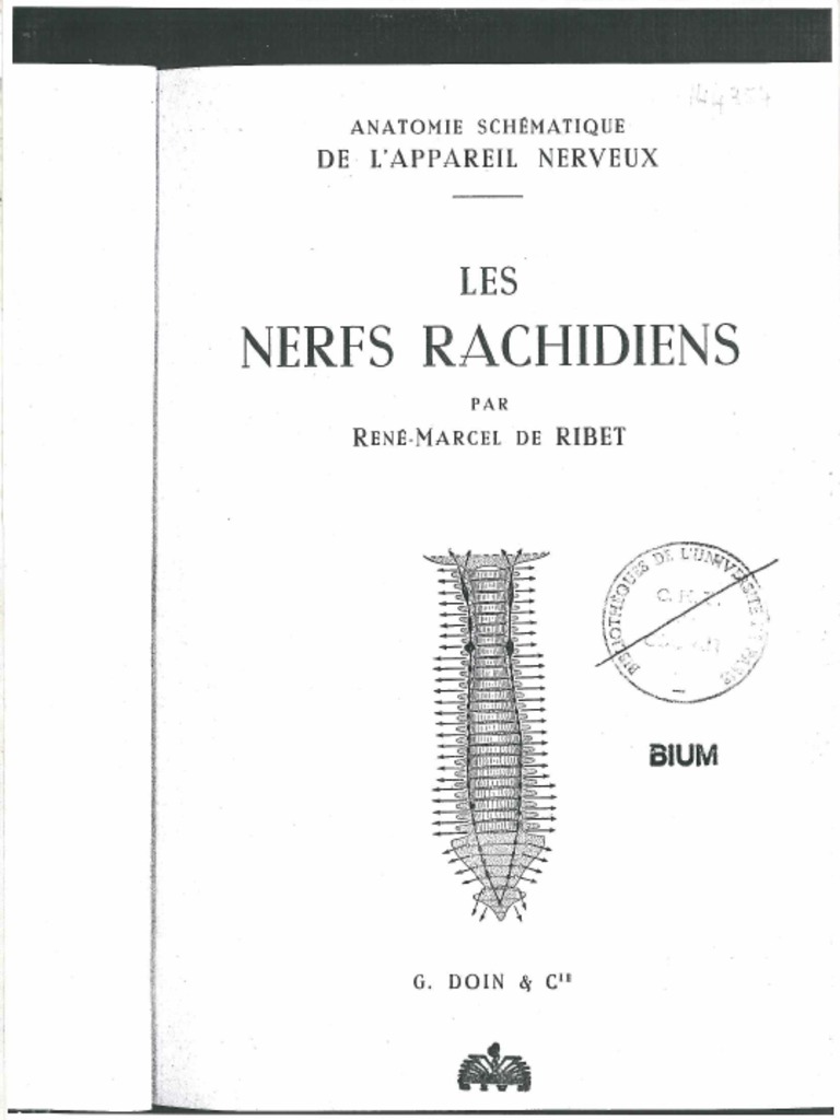 De Ribet René-Marcel Les Nerfs Rachidiens | PDF