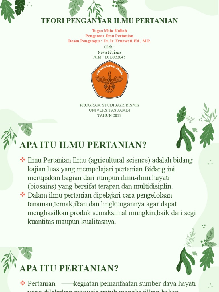 Nova Fitriana - PIP E - T1 | PDF