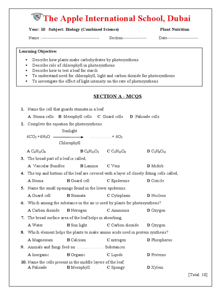 Year 10 - CS Worksheet - MA 2 | PDF | Leaf | Stoma