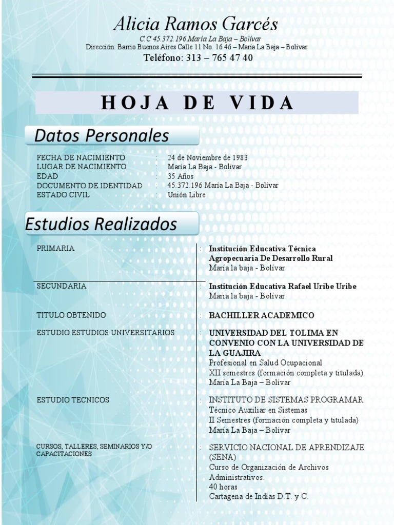 Formato de HV Moderno 2020 - Alicia Ramos Garces | PDF