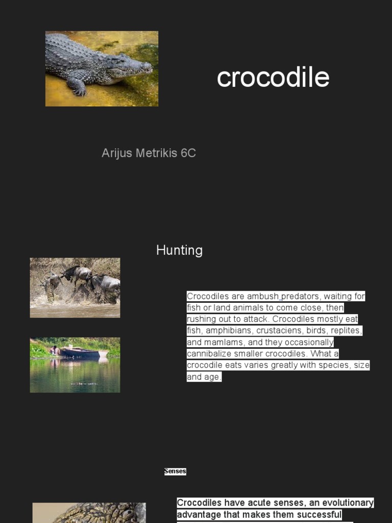 Arijaus Darbas 6C | PDF