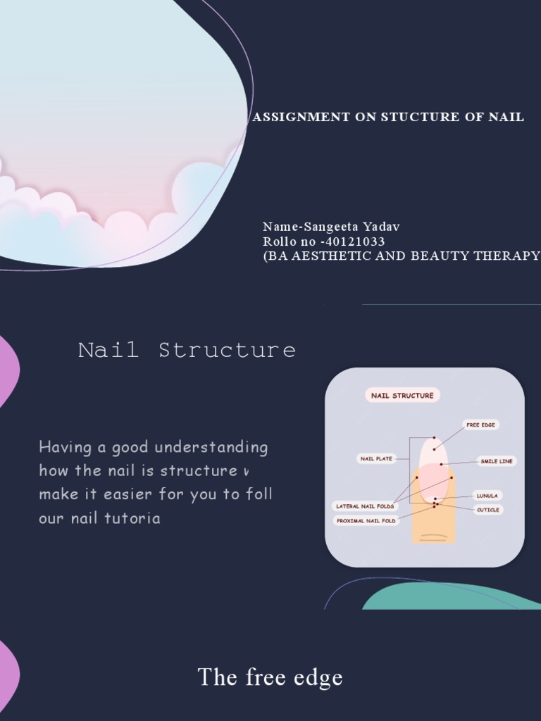 Nail Structure and Growth Explained | PDF