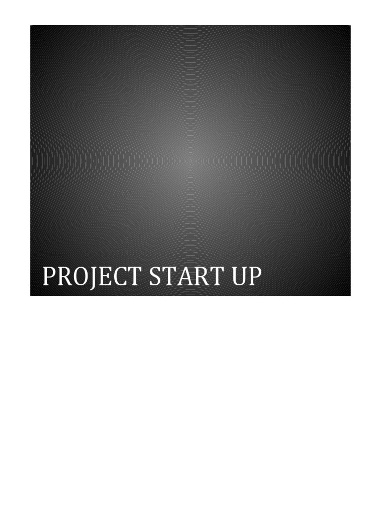 Project Startup | PDF | Business