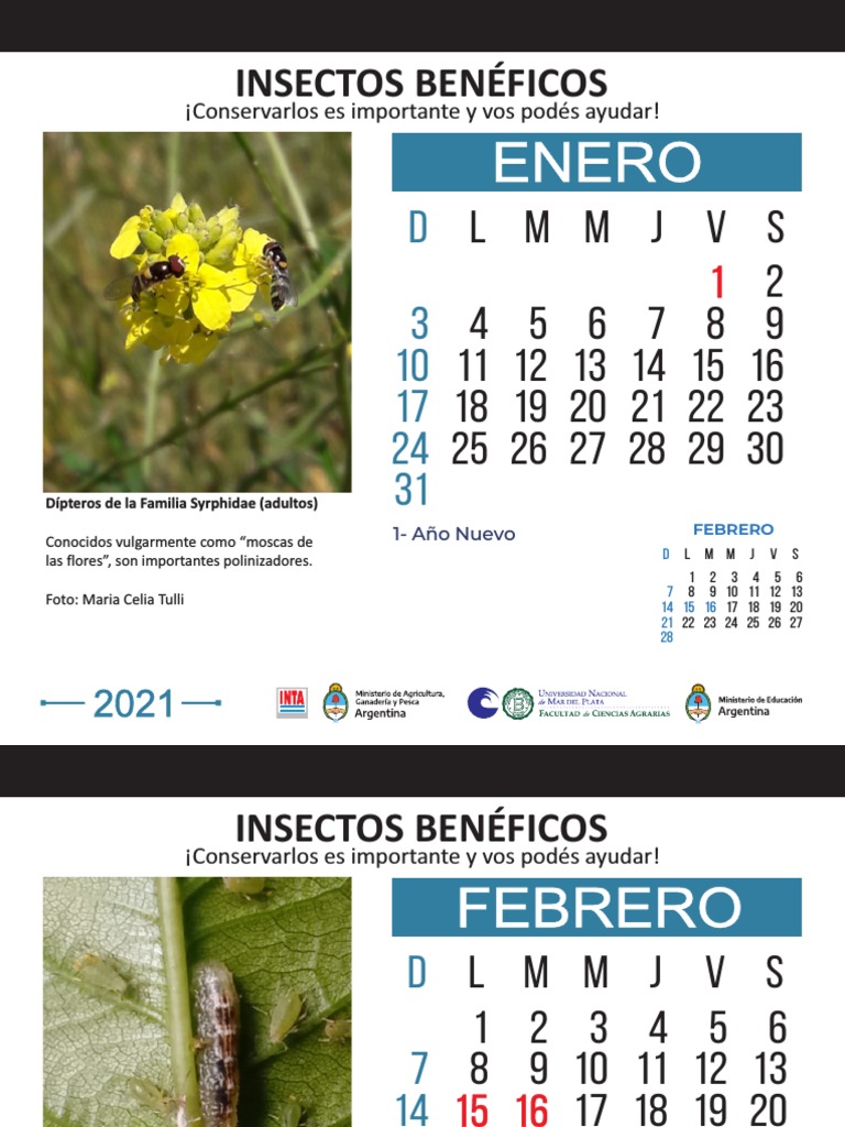 Calendario de Insectos Benéficos 2021 | PDF | Mosca | Insectos