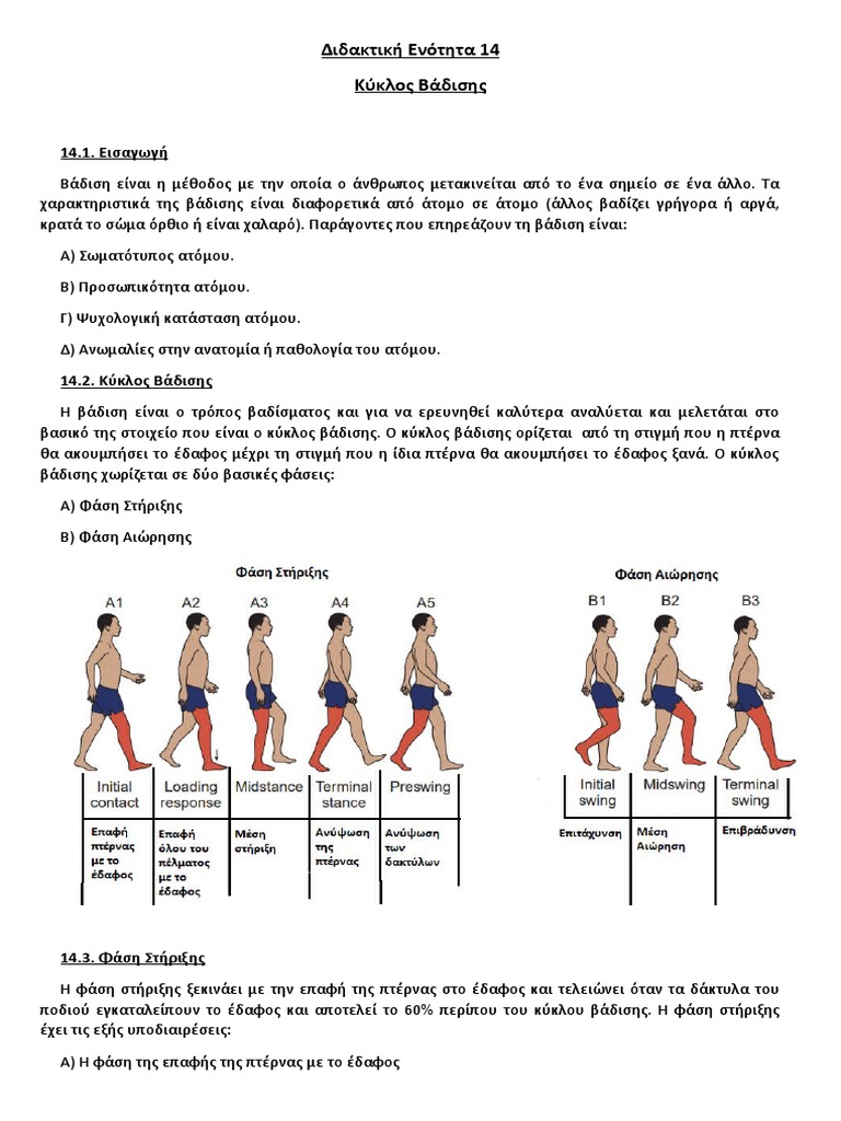 Διδακτική Ενότητα 14 | PDF