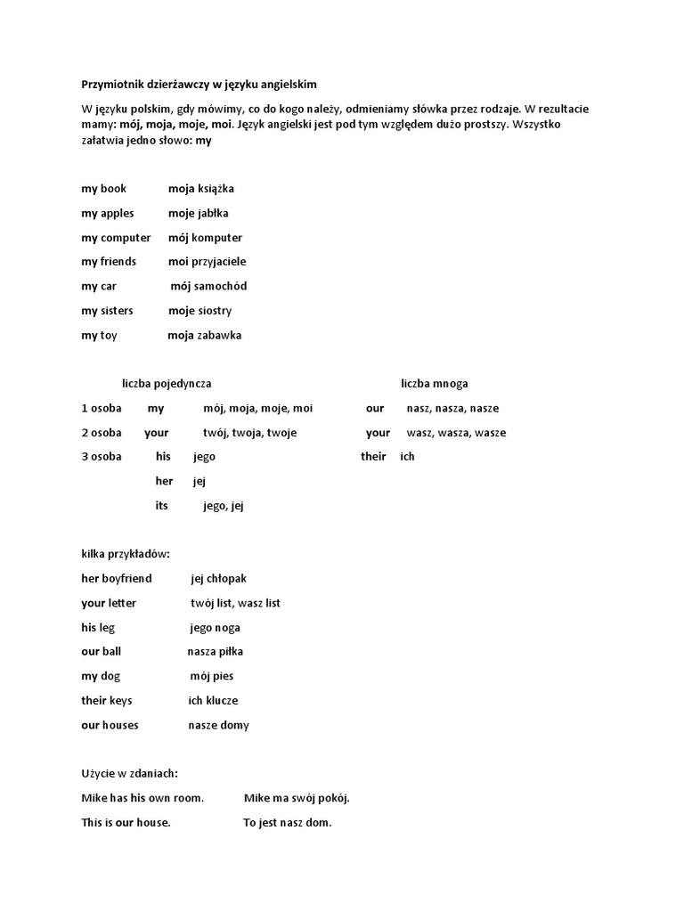 Przymiotnik Dzierżawczy W Języku Angielskim I Czytanka | PDF
