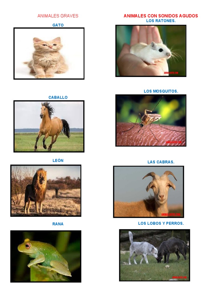 Sonidos Agudos y Graves en Animales | PDF