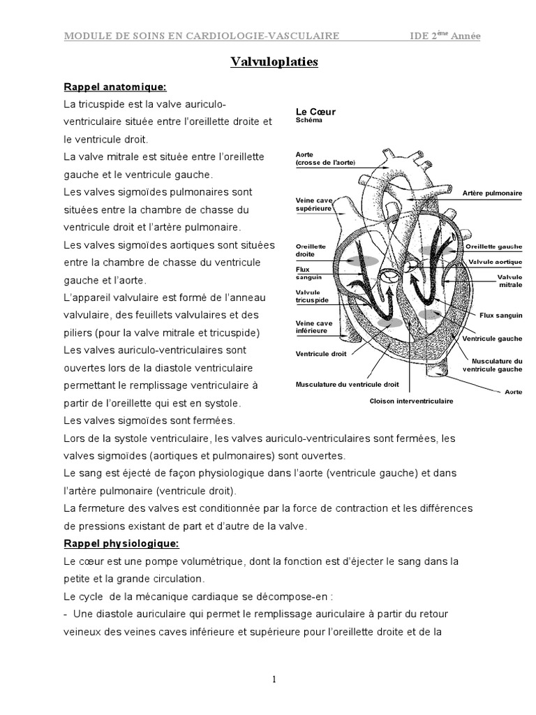 Valvulopathie | PDF | Valve cardiaque | Atrium (anatomie)