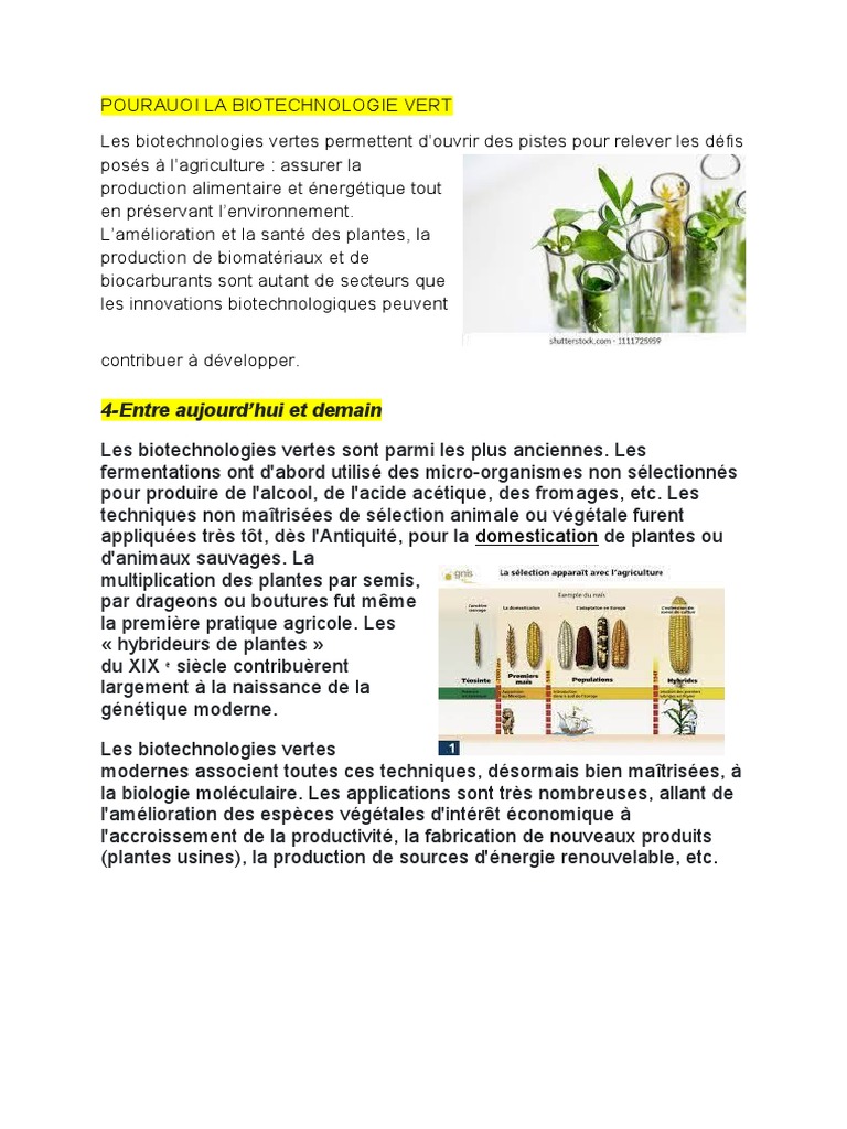 Biotechnologie verte : enjeux et applications | PDF