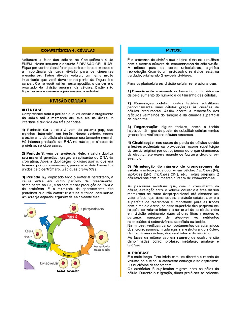 Apostila Mitose E Meiose Pdf Meiose Mitose