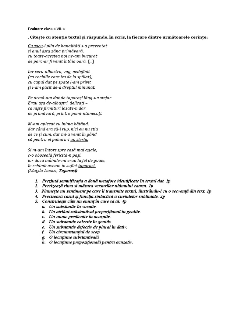 Substantiv Evaluare | PDF