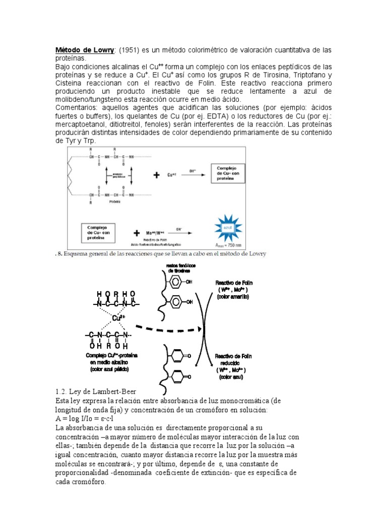Método de Lowry | PDF | Complejo de Coordinación | Proteínas