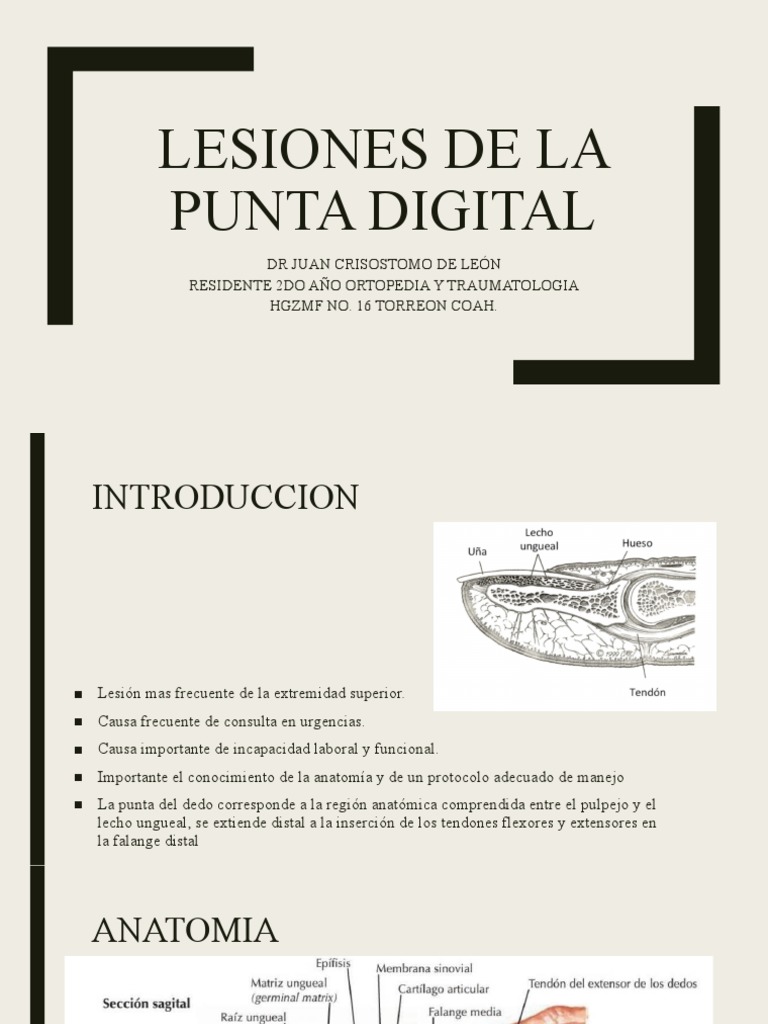 Lesiones de La Punta Digital | PDF | Traumatologia | Hueso