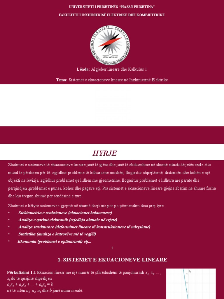 Sistemet e Ekuacioneve Lineare | PDF