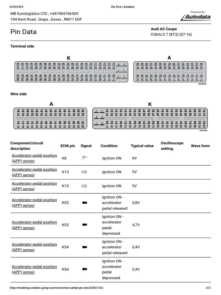Pin Data - Autodata | PDF | Energy Technology | Systems Engineering