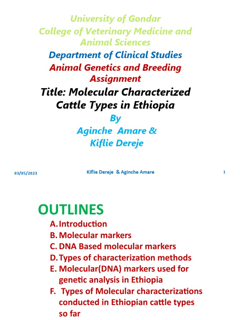 Assignment Mollecular Characterized Ethiopian Cattle Breeds | PDF | Gel Electrophoresis | Gene