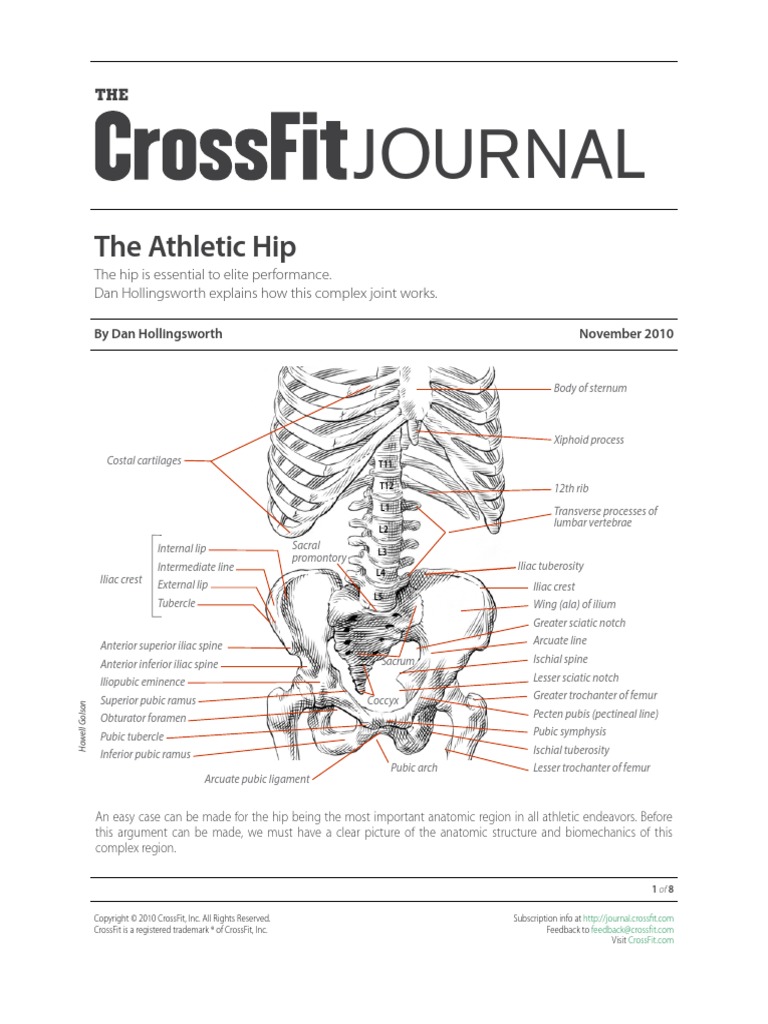 CFJ Hollingsworth Hip | PDF | Pelvis | Anatomical Terms Of Motion
