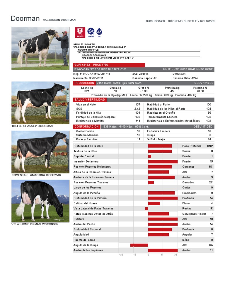 Ficha Tecnica Holstein Negro Doorman | PDF | Mamíferos | Nutrición