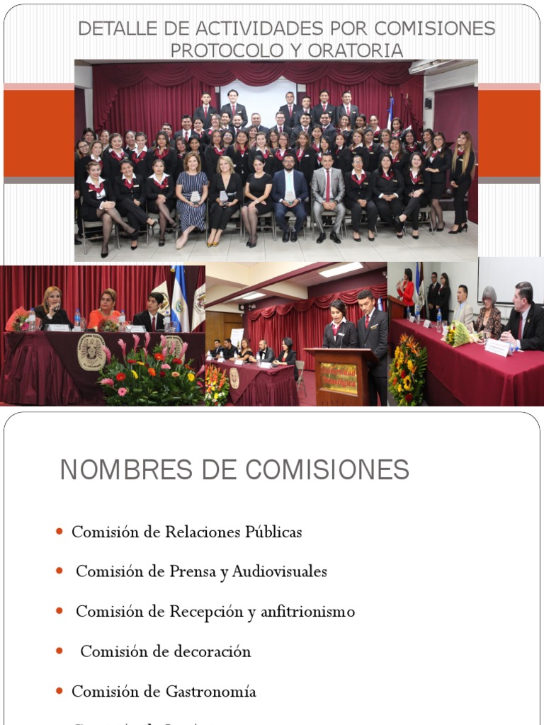 Manual de Comisiones para Evento Protocolo 2020 | PDF