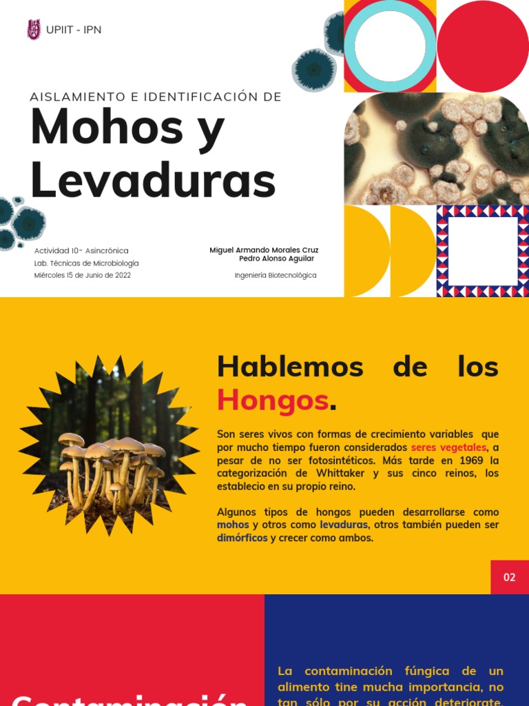 Morales - Armando - Mohos y Levaduras | PDF | Hongo | Levadura