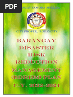 CBDRRM Plan Ap | PDF | Emergency Management | Disaster Risk Reduction