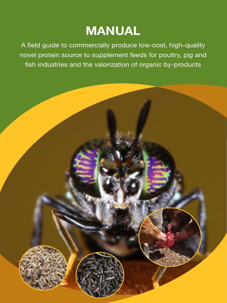 ICIPE BSF Manual For Insect As Feed Production | PDF | Fly | Pupa