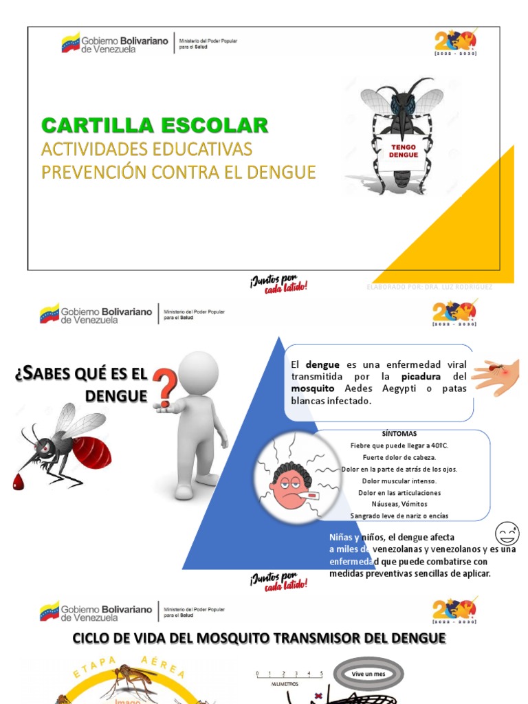 Cartilla Escolar Contra El Dengue | PDF | Especialidades Medicas ...