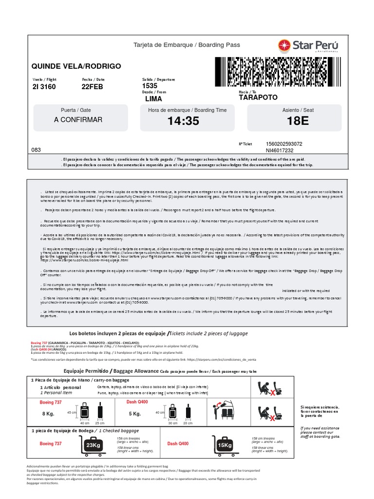 Boarding Pass Preview | PDF