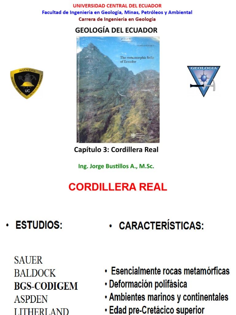 003 Cordillera Real | PDF | Andes | Roca (geología)