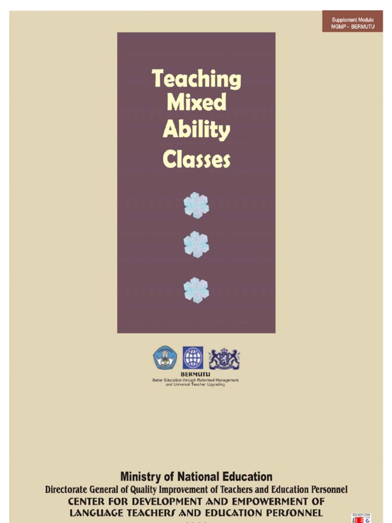 Strategies for Teaching Mixed Ability Classes | PDF | Language ...