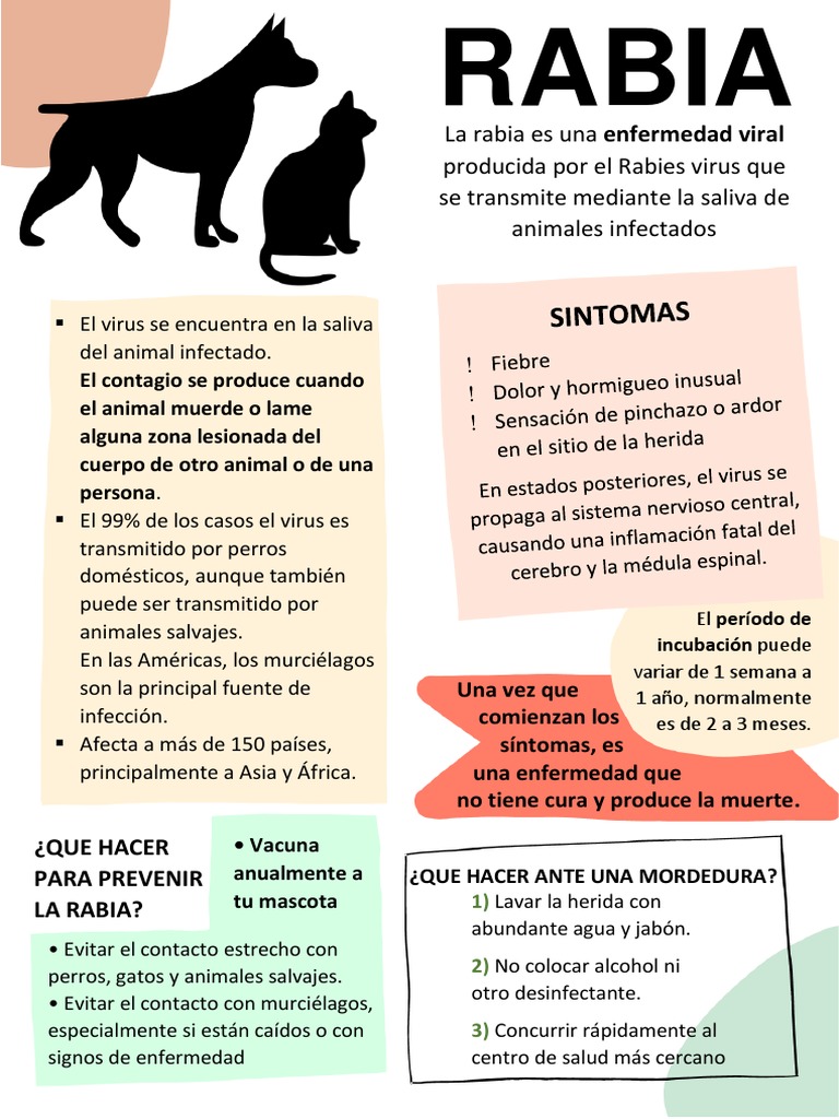 La rabia: una enfermedad viral transmitida por la saliva de animales ...