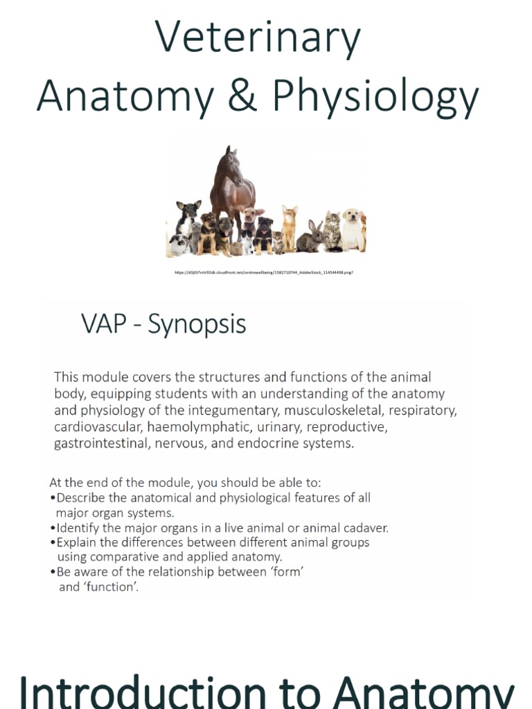 1a - Intro To Veterinary Anatomy - Physiology + The Integument | PDF