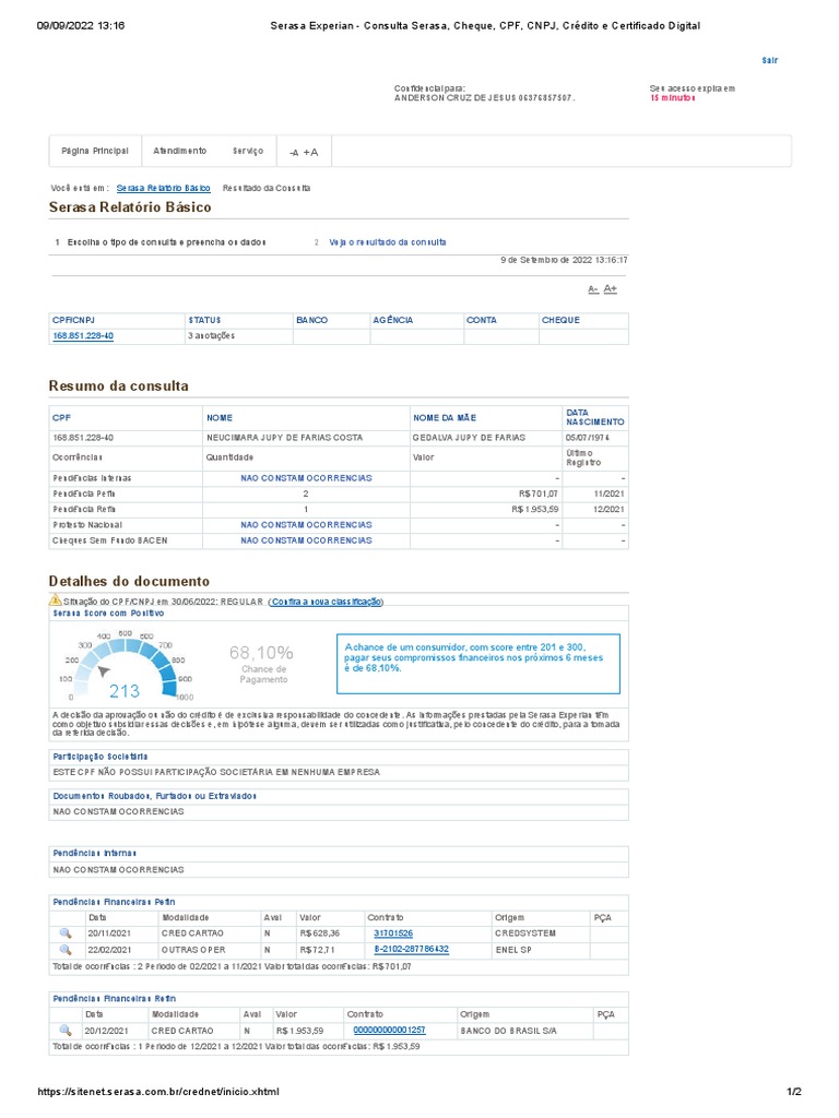 Serasa Relatório Básico: Página Principal Atendimento - A | PDF ...