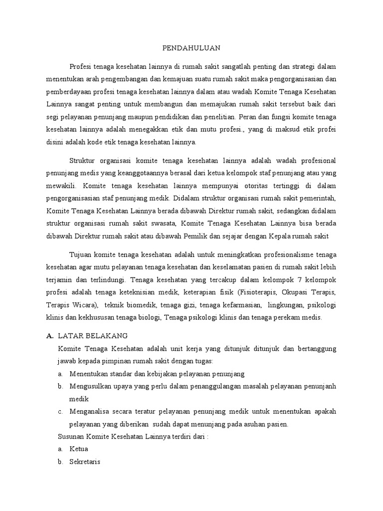 Program Kerja Komite Kesehatan Lainnya | PDF