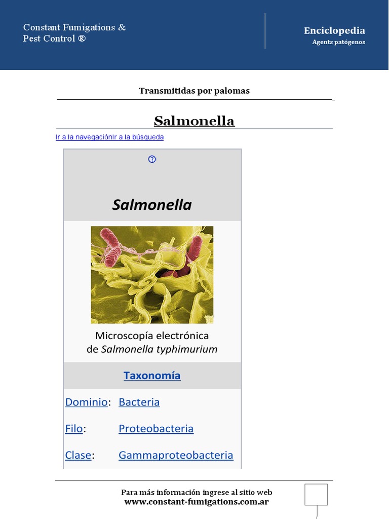 Salmonella | PDF | Salmonela | Especialidades Medicas