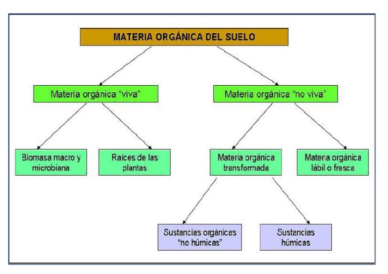 Mapa Conceptual Sobre La Materia Organica Del Suelo | PDF
