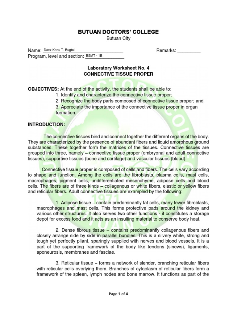 Connective Tissue Worksheet | PDF | Connective Tissue | Tissue (Biology)
