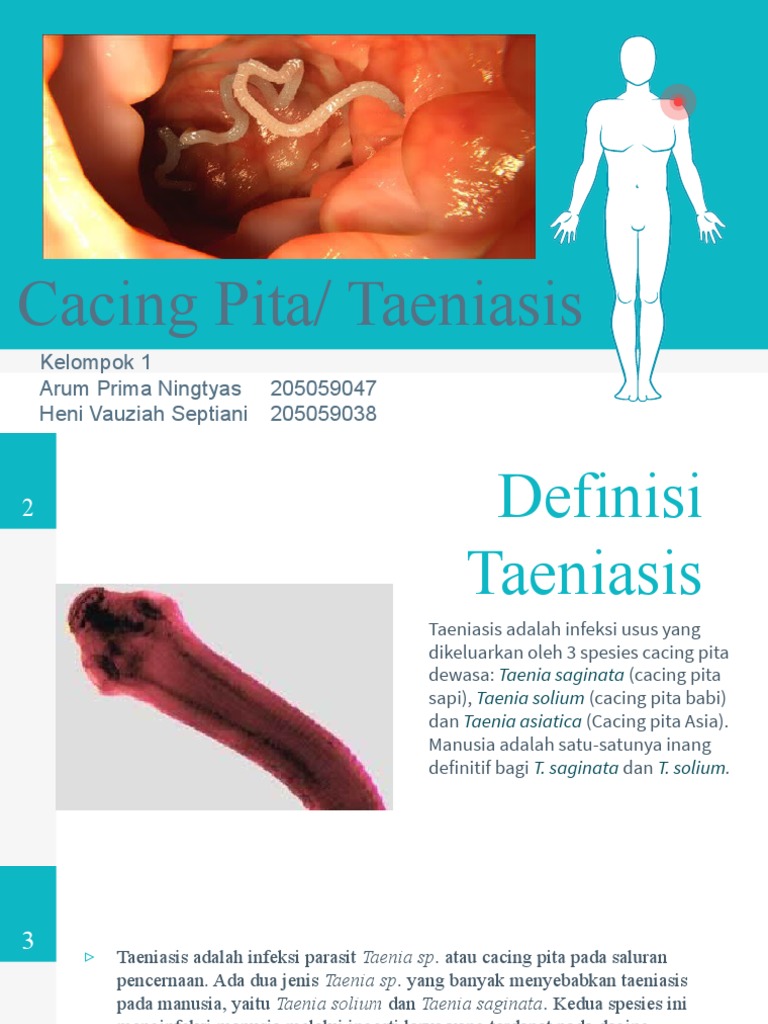Kelompok 1 Taeniasis | PDF