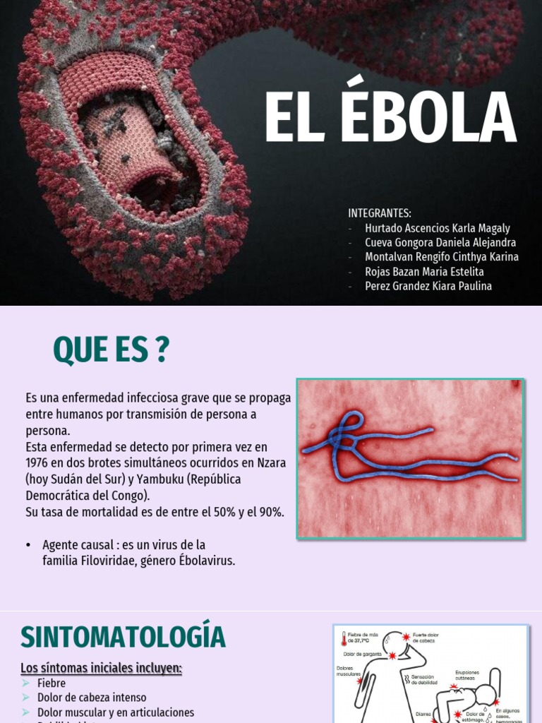 El Ebola PDF | PDF | Enfermedades animales | Enfermedades y trastornos