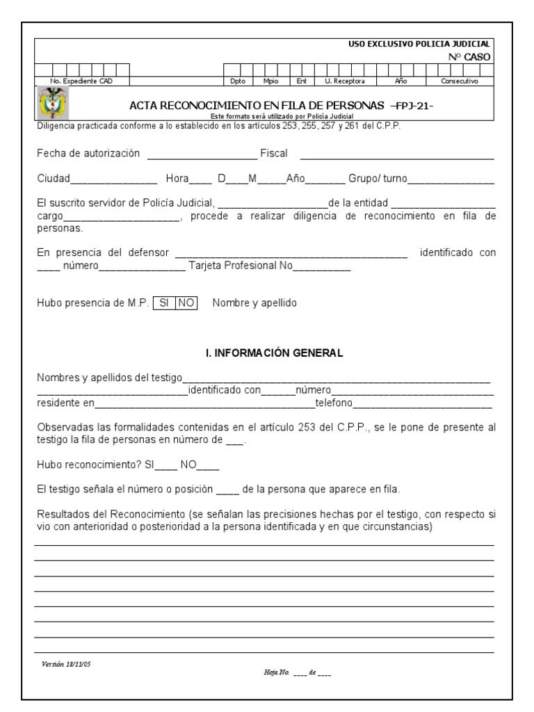 FPJ-21 Acta Reconocimiento en Fila de Personas | PDF | Justicia | Crimen y violencia