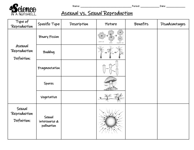 Asexual vs. Sexual Reproduction: Type of Reproduction Specific Type ...