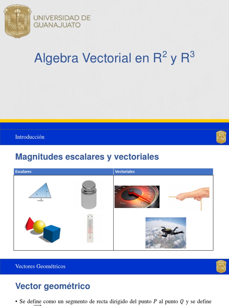 Algebra Vectorial en R2 y R3 | PDF | Vector Euclidiano | Fuerza