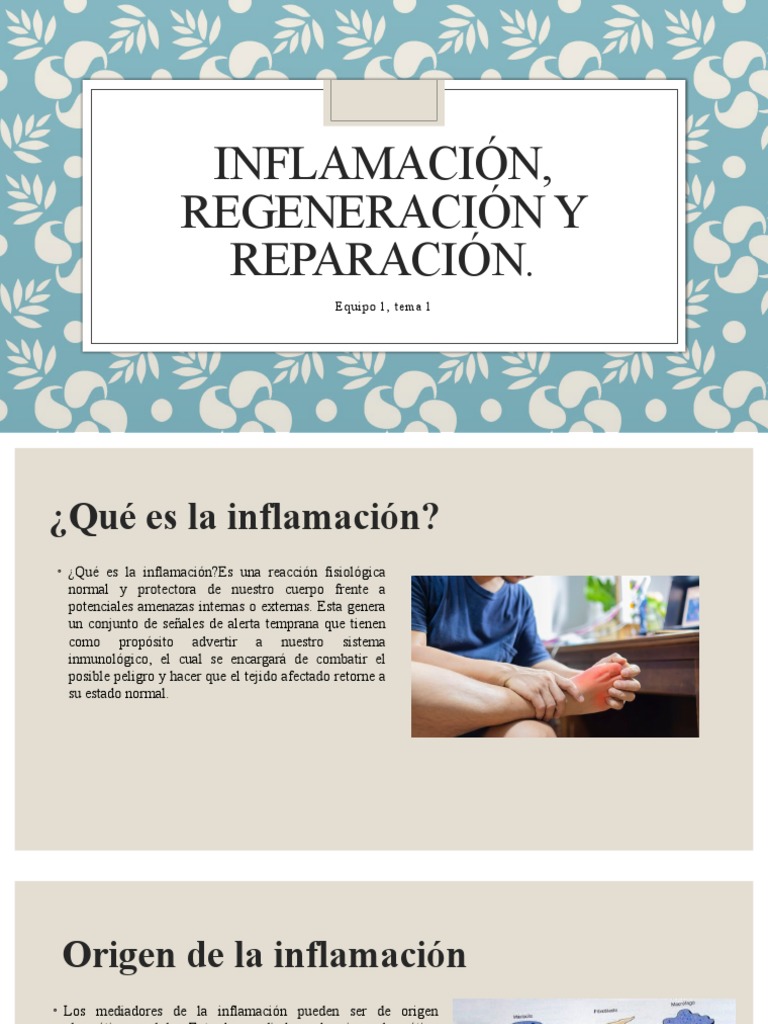 Qué es la inflamación y sus mediadores | PDF | Inflamación | Biología