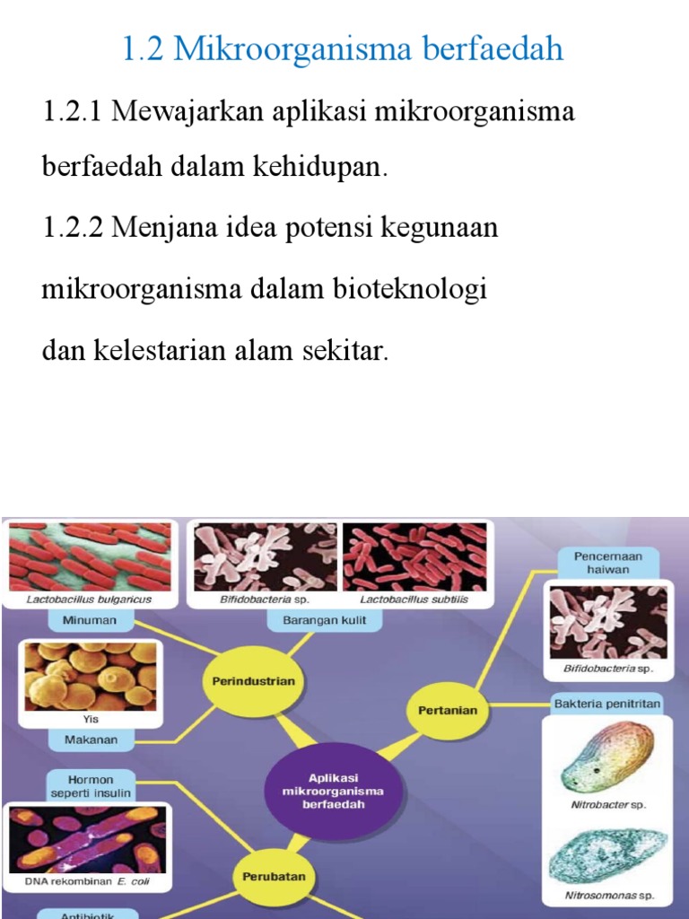 1.2 Mikroorganisma Berfaedah | PDF