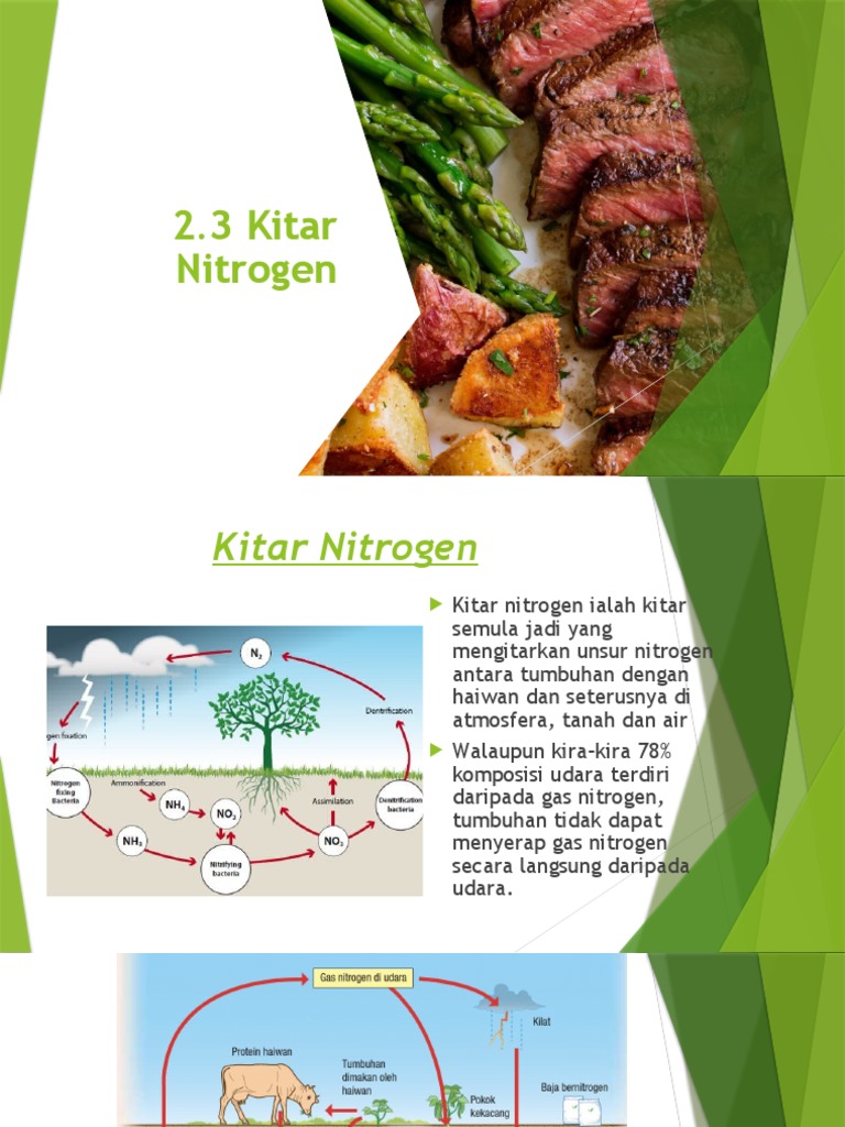 2.3 Kitar Nitrogen | PDF