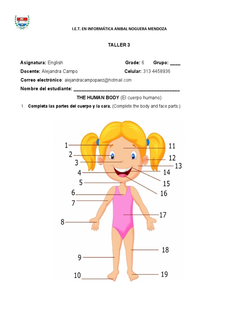 Taller de inglés: El cuerpo humano | PDF | Artes del Lenguaje y ...